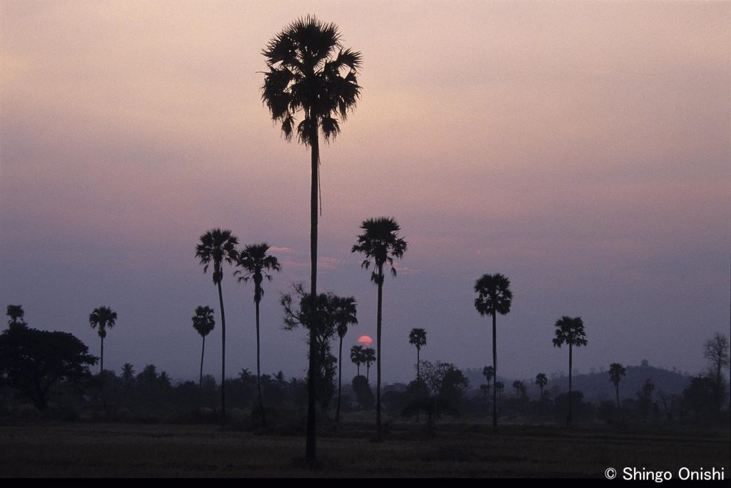 Photo 017 - Natural days in Myanmar